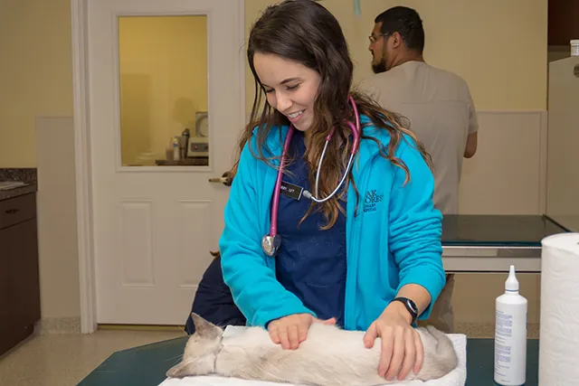 Veterinary Internal Medicine - Oak Forest Veterinary Hospital