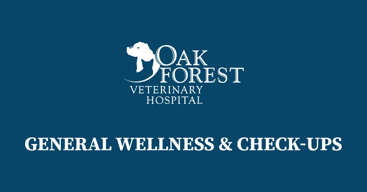 General Wellness & Check-Ups - Oak Forest Veterinary Hospital