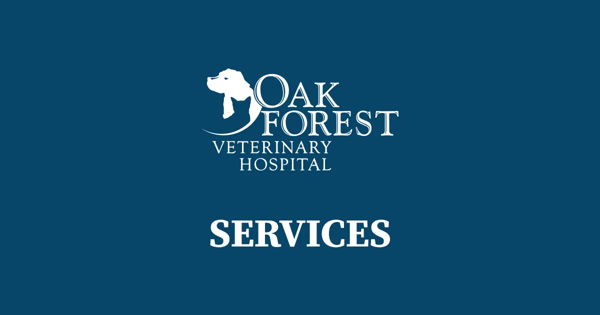 Services - Oak Forest Veterinary Hospital